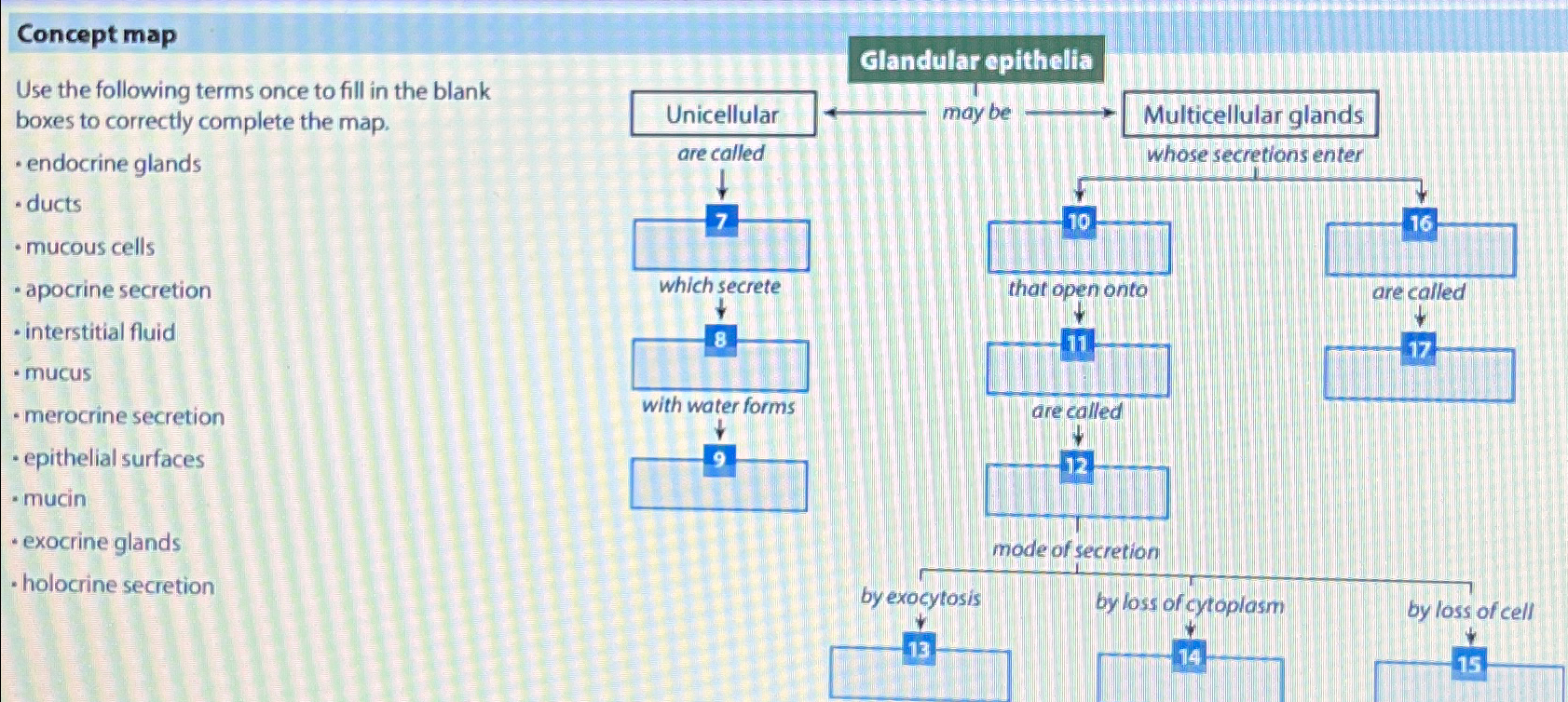 Concept mapUse the following terms once to fill in | Chegg.com