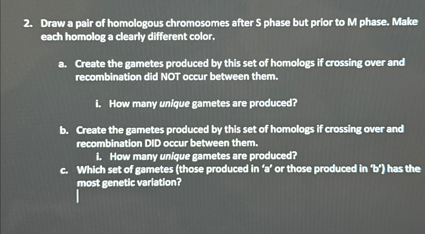 Solved Draw a pair of homologous chromosomes after S ﻿phase | Chegg.com