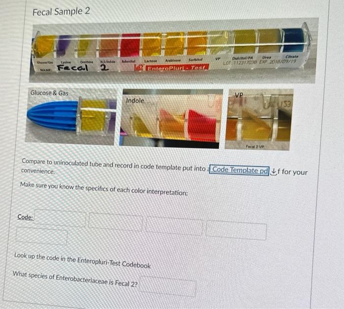 Code Templates for Enteripluri-Test Sterile | Chegg.com