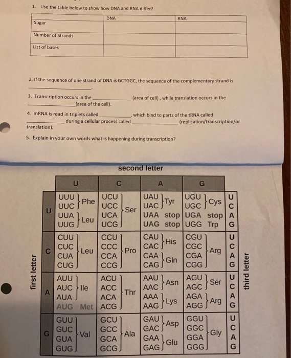 Solved 1. Use the table below to show how DNA and RNA | Chegg.com