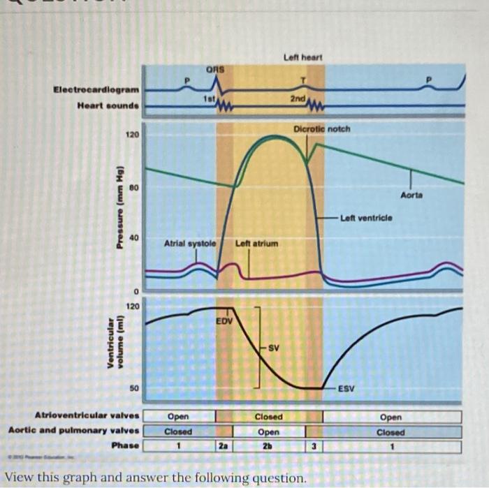 Solved During an infection, the body temperature set point | Chegg.com