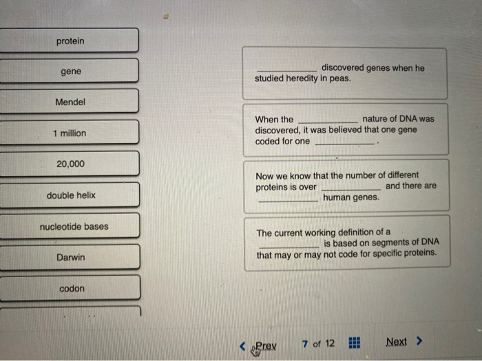 Solved Complete each of the following statements by dragging | Chegg.com