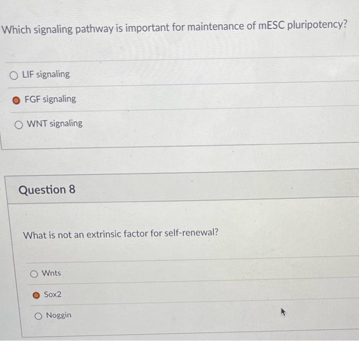 Solved Which signaling pathway is important for maintenance | Chegg.com