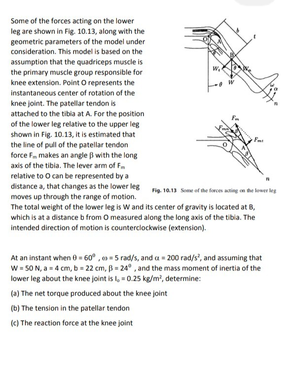 Solved PROBLEM 2 Knee Extension - The angular motion of the | Chegg.com