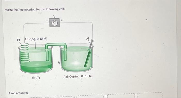 Solved Write the line notation for the following cell. Pt | Chegg.com