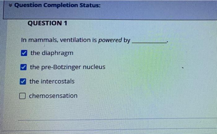 Solved Question Completion Status: QUESTION 1 In mammals, | Chegg.com
