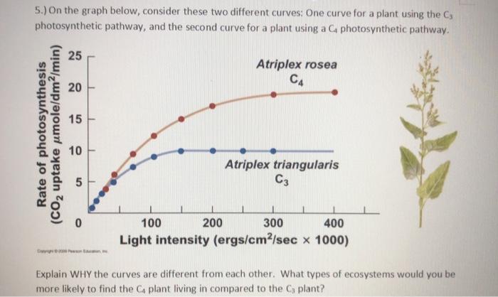 Solved 5.) On the graph below, consider these two different | Chegg.com