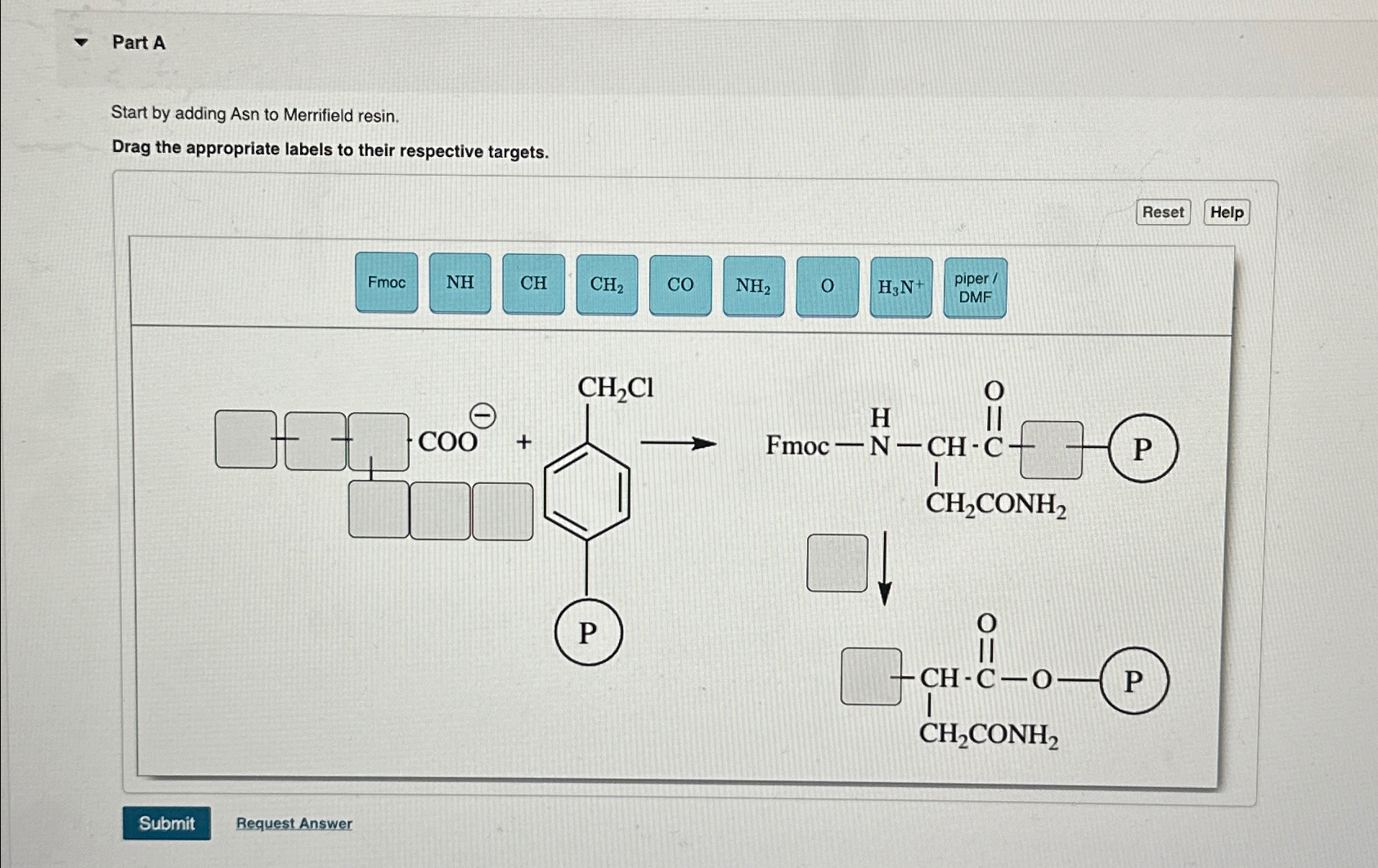 Solved Part AStart by adding Asn to Merrifield resin.Drag | Chegg.com