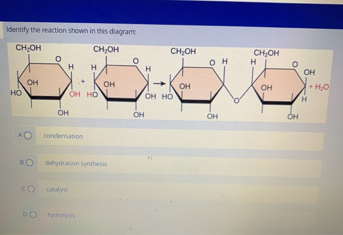 Solved Identify the reaction shown in this diagram: CH2OH | Chegg.com