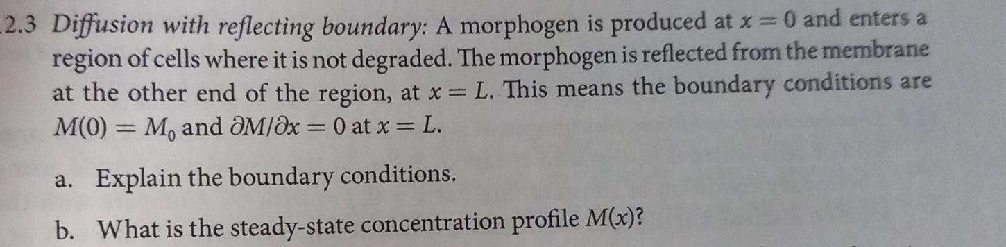 Solved 3 Diffusion with reflecting boundary: A morphogen is | Chegg.com