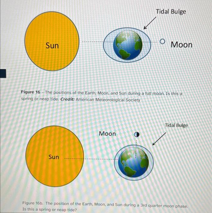 Solved Tidal Bulge Sun O Moon Figure 16 - The positions of | Chegg.com