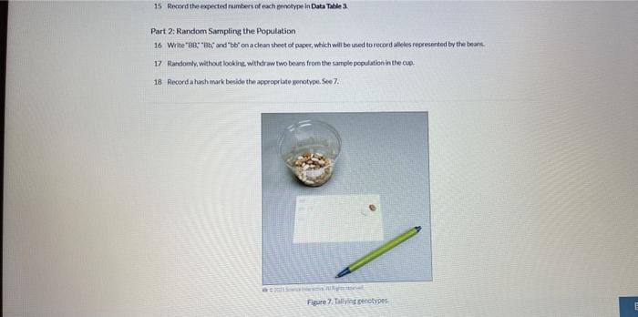 Exercise 2 Modeling Natural Selection only weiert | Chegg.com