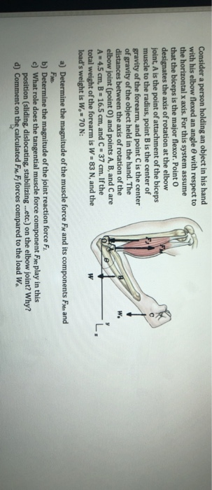Solved Consider a person holding an object in his hand with | Chegg.com