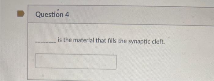 Solved is the material that fills the synaptic cleft.An | Chegg.com