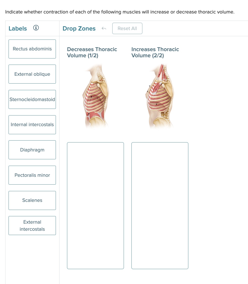 Solved Indicate whether contraction of each of the following | Chegg.com