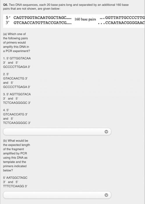 Solved answer this really really really fast i dont have | Chegg.com