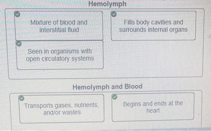 Solved Hemolymph \begin{tabular}{l} Mixture of blood and | Chegg.com