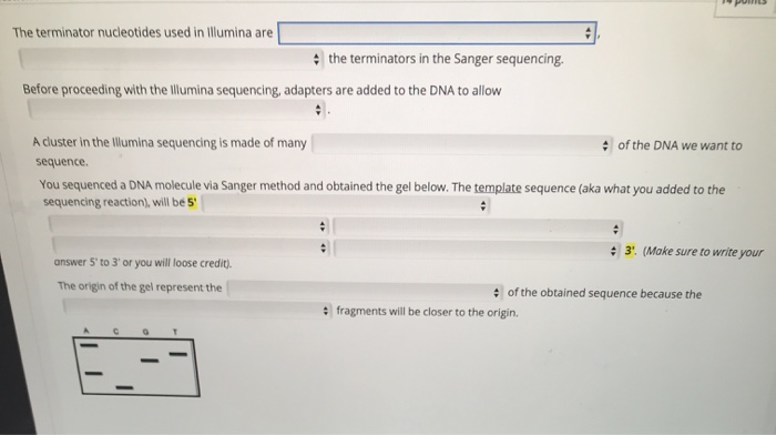 The terminator nucleotides used in Illumina are the | Chegg.com