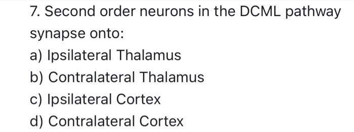 Solved 7. Second order neurons in the DCML pathway synapse | Chegg.com