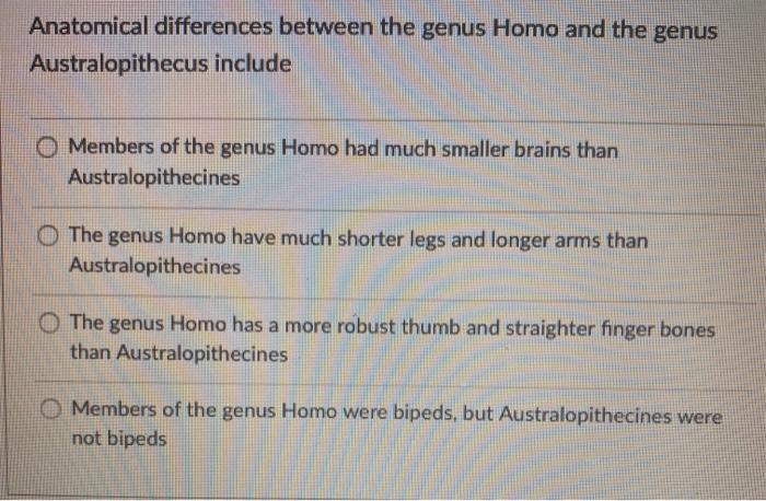 Solved Paranthropus boisei had very large molar teeth and | Chegg.com