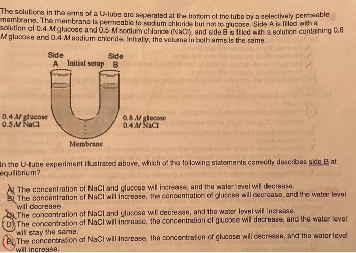 Solved The solutions in the arms of a U-tube are separated | Chegg.com