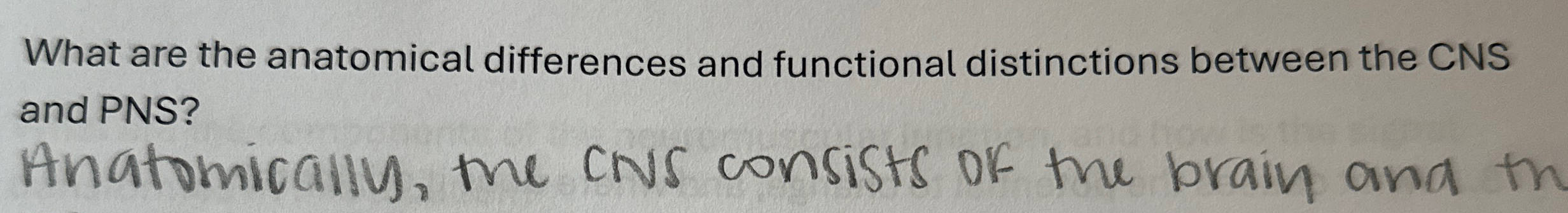 What are the anatomical differences and functional | Chegg.com