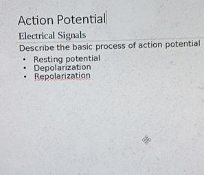 Solved Action PotentialElectrical SignalsDescribe the basic | Chegg.com
