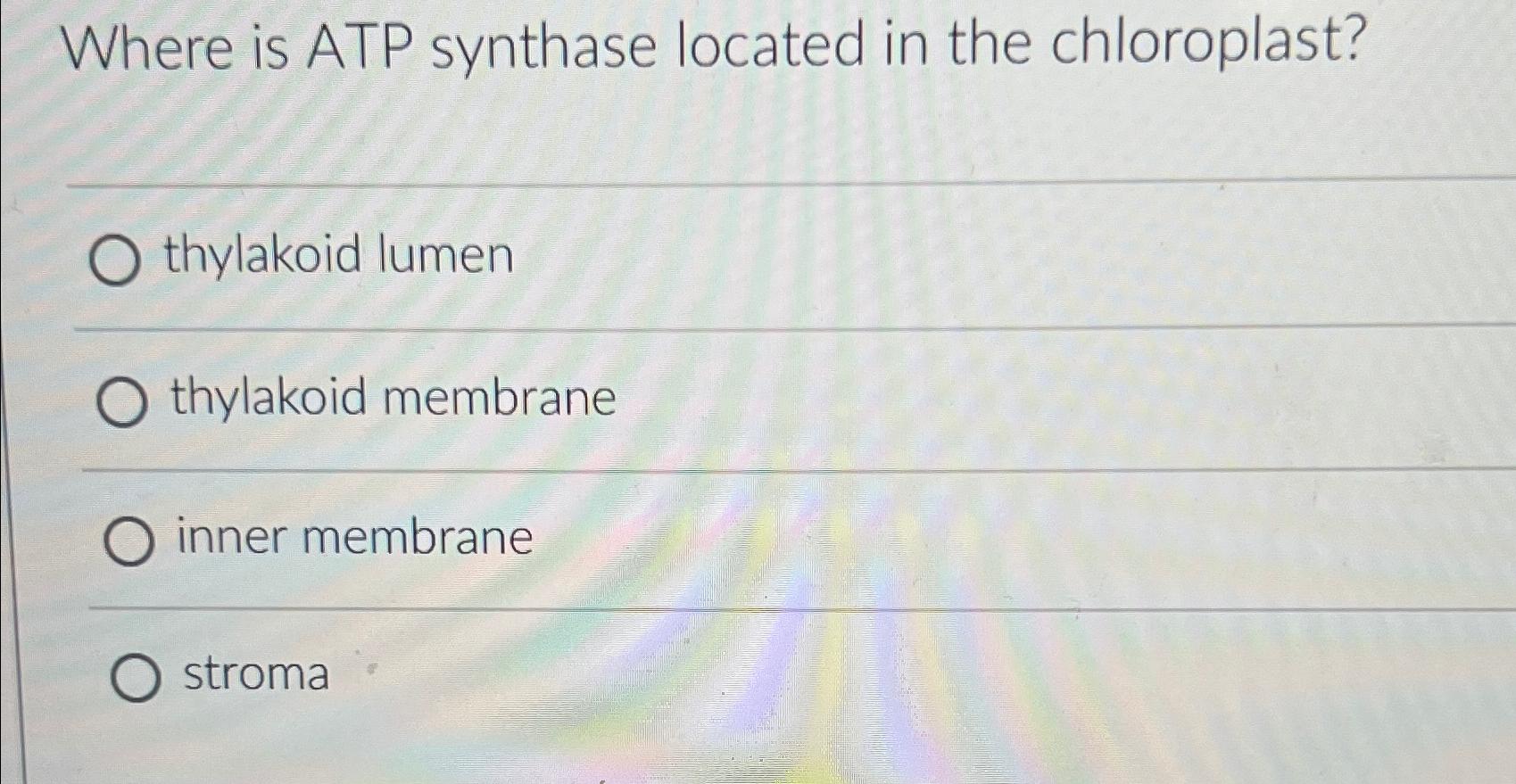 Solved Where is ATP synthase located in the | Chegg.com