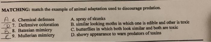 Solved MATCHING: match the example of animal adaptation used | Chegg.com
