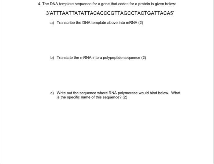 Solved 4. The DNA template sequence for a gene that codes | Chegg.com