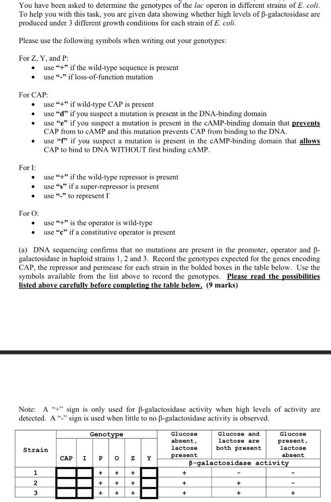 Solved You have been asked to determine the genotypes of the | Chegg.com