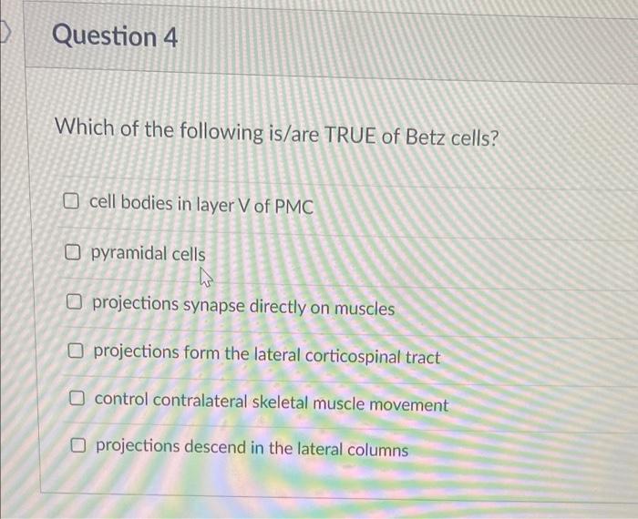 Solved Question 4 Which of the following is/are TRUE of Betz | Chegg.com