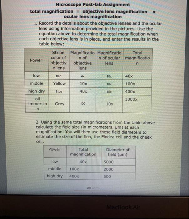 Solved Microscope Post-lab Assignment total magnification = | Chegg.com