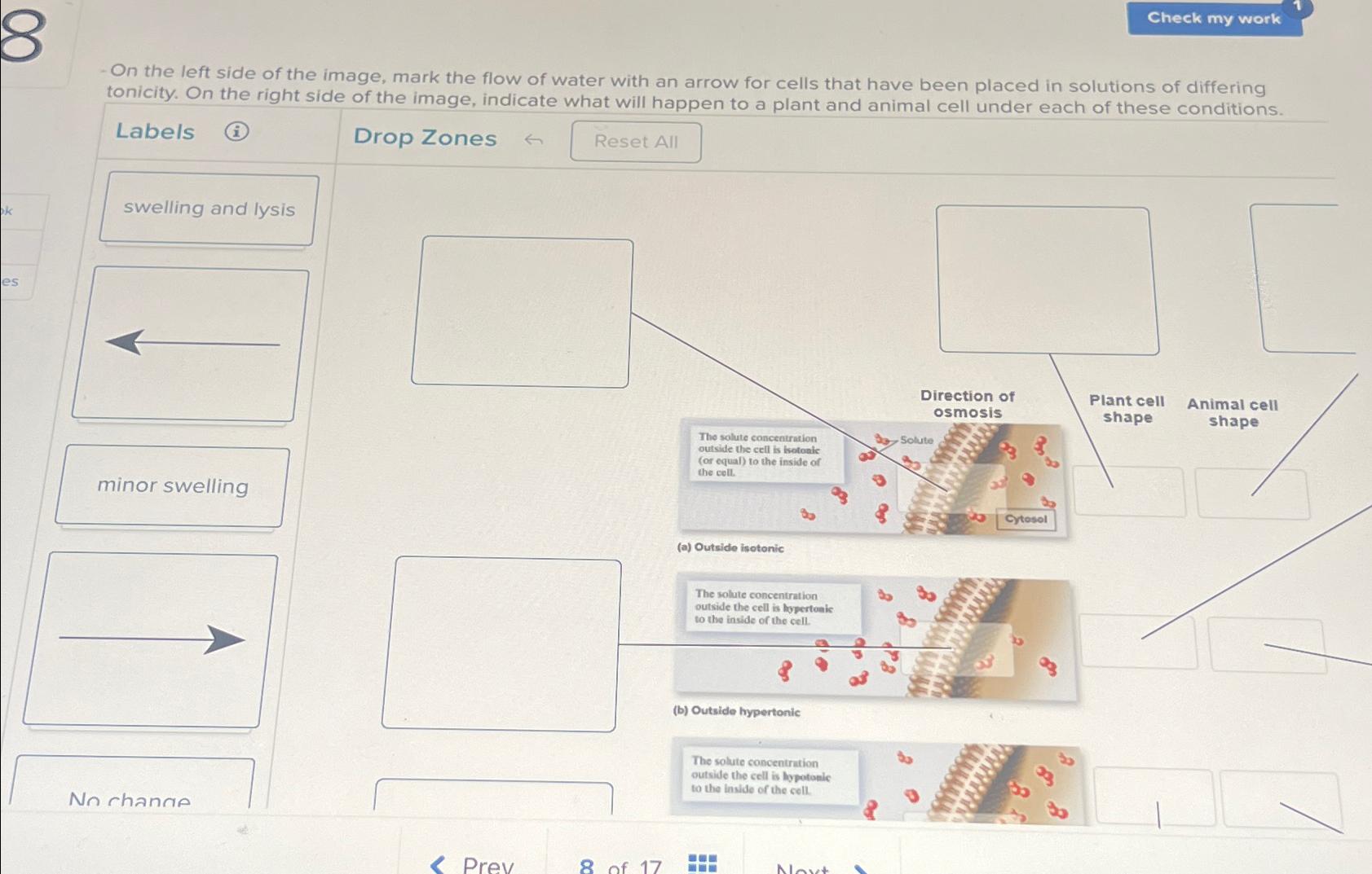 Solved On the left side of the image, mark the flow of water | Chegg.com