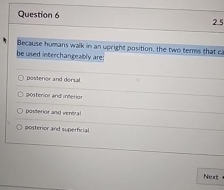 Solved Question 62.5Because humans walk in an upright | Chegg.com