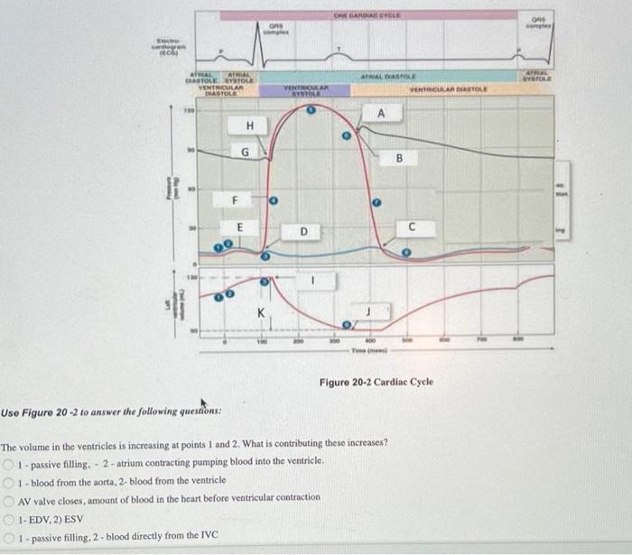 Solved Figure 20-2 Cardiac Cycle Use Figure 20−2 to answer | Chegg.com