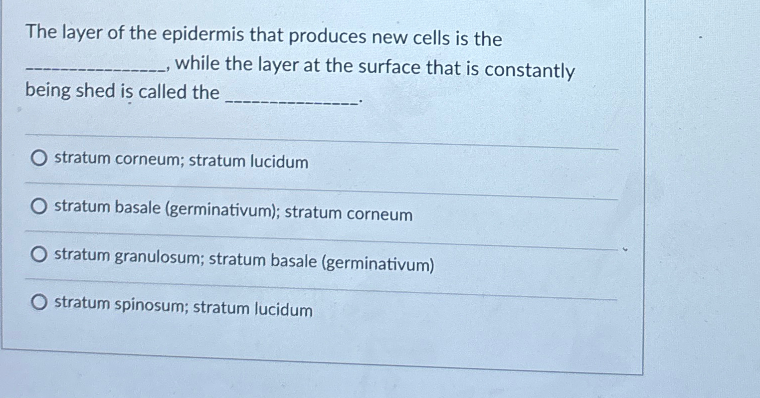 Solved The layer of the epidermis that produces new cells is | Chegg.com