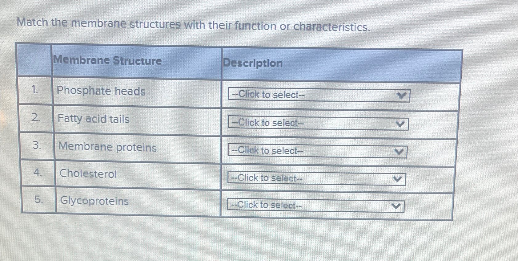 Solved Match the membrane structures with their function or | Chegg.com