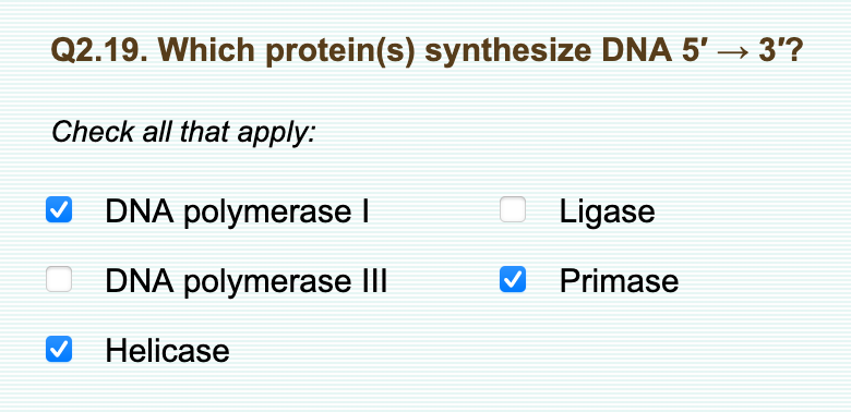 Solved Q2.19. ﻿Which protein(s) ﻿synthesize DNA | Chegg.com