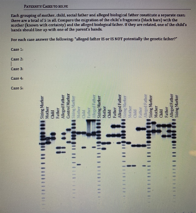 Solved PATERNITY CASES TO SOLVE Each grouping of mother, | Chegg.com