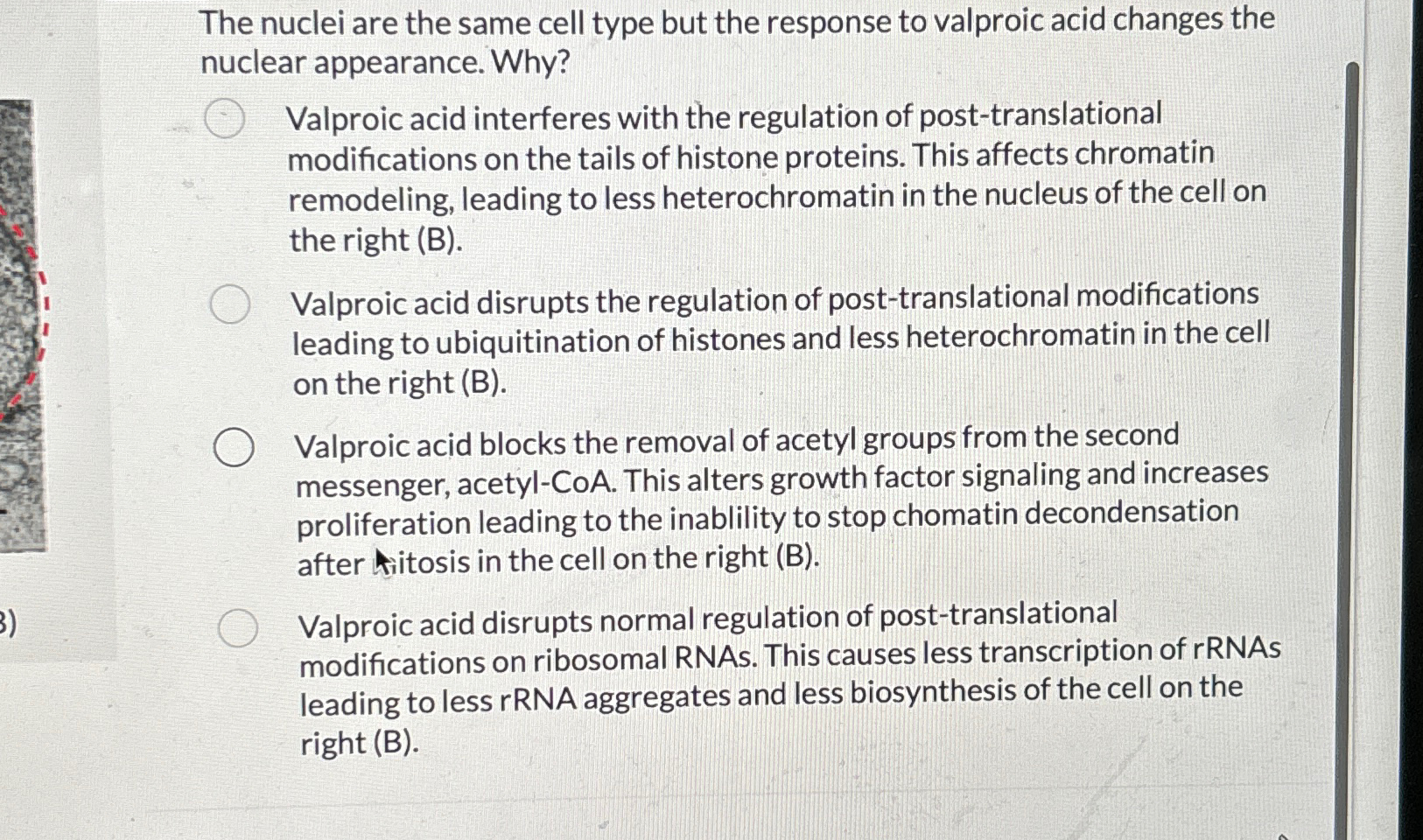 Solved The nuclei are the same cell type but the response to | Chegg.com