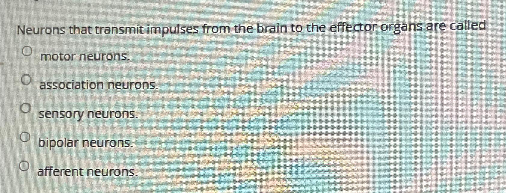 Solved Neurons that transmit impulses from the brain to the | Chegg.com