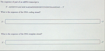Solved The sequence of part of an mRNA transcript | Chegg.com