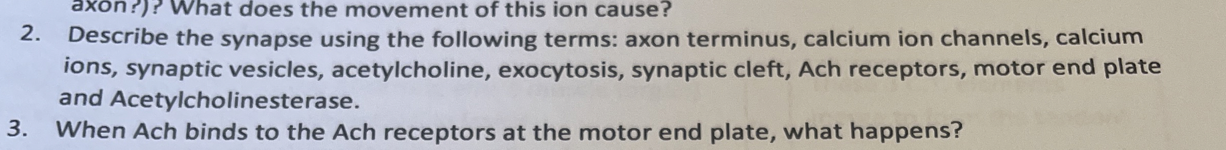 Solved Describe the synapse using the following terms: axon | Chegg.com