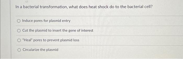 Solved In a bacterial transformation, what does heat shock | Chegg.com
