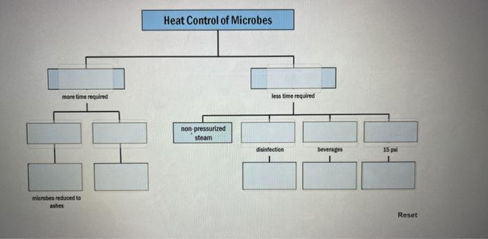 Solved Move the correct terms into the empty boxes to | Chegg.com