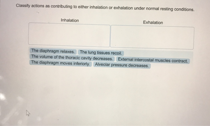 Solved Classify Actions As Contributing To Either Inhalation