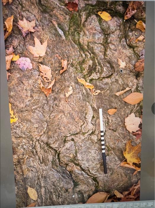 Mount Snow Stop 1 - Albite Quartz Granofels At this | Chegg.com