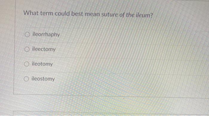 Solved Question 85 1 pts What is the meaning of the | Chegg.com