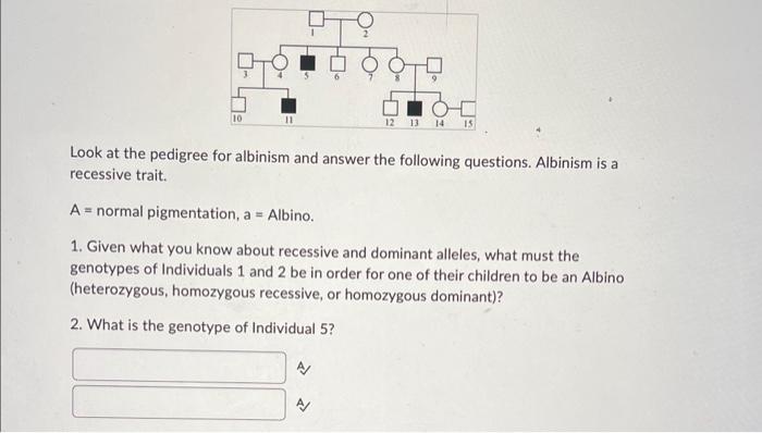 Solved Look at the pedigree for albinism and answer the | Chegg.com